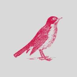 Robin Capital - Crunchbase Company Profile & Funding