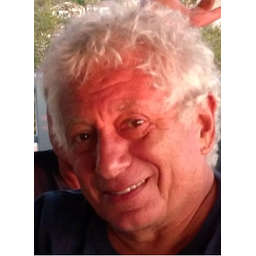 Labros Psarros - Founder and General Manager @ Profelmnet - Crunchbase Person Profile