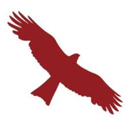 Red Red Kite - Crunchbase Company Profile & Funding