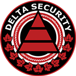Delta Security - News & Analysis