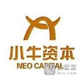 Neo Capital - Crunchbase Company Profile & Funding