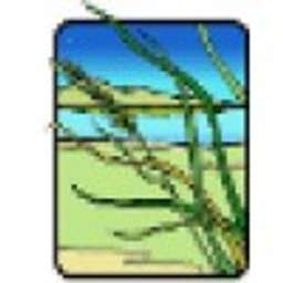 Central Coast Wilds - Crunchbase Company Profile & Funding