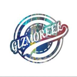 GizmoReel - Tech Details