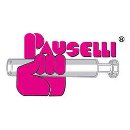 Pauselli - Crunchbase Company Profile & Funding