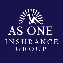 As One Insurance Group - Crunchbase Company Profile & Funding