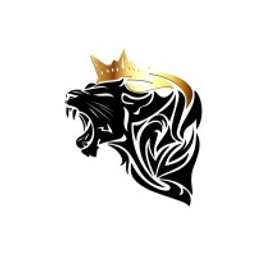 Black Leo Med-Tech - Crunchbase Company Profile & Funding