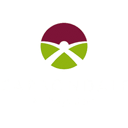 City of Carbondale Government