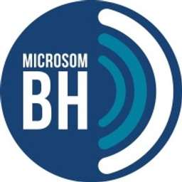 Microsom BH - Crunchbase Company Profile & Funding