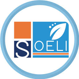 SOELI Consulting