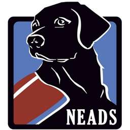 NEADS - Crunchbase Company Profile & Funding