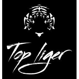 Top Liger - Financial Details