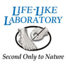 Life-Like Laboratory - Tech Details