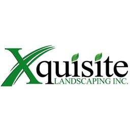 Xquisite Landscaping