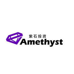 Amethyst - Crunchbase Investor Profile & Investments