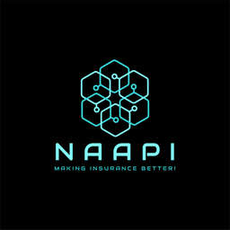 Naapi - Crunchbase Company Profile & Funding