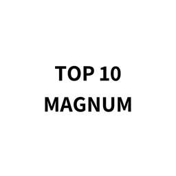 Top 10 Magnum - Tech Details