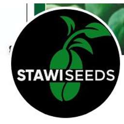 Stawi seeds - Crunchbase Company Profile & Funding