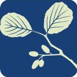 ESS Support Services