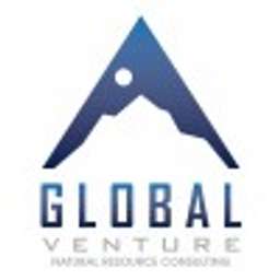 Global Venture Consulting - Crunchbase Company Profile & Funding