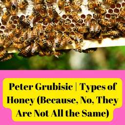 Peter Grubisic | Types of Honey (Because, No, They Are Not All the Same) - 2023-01-21 ...