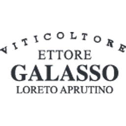 Ettore Galasso - Crunchbase Company Profile & Funding