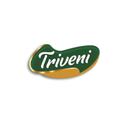The Triveni Group - Crunchbase Company Profile & Funding