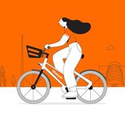 Bleeper - Financial Details