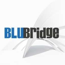 Blubridge - Crunchbase Company Profile & Funding