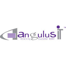 Angulus IT Services