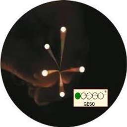 GESO - Crunchbase Company Profile & Funding