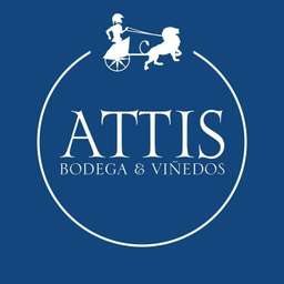Attis - Crunchbase Company Profile & Funding