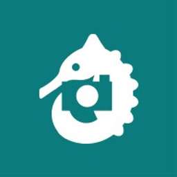 HippoCamera - Crunchbase Company Profile & Funding