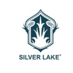 Silver Lake - Crunchbase Company Profile & Funding