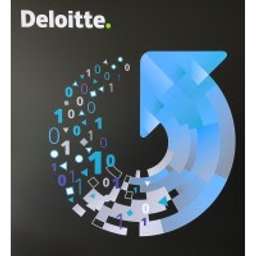 Deloitte innoWake - Crunchbase Company Profile & Funding