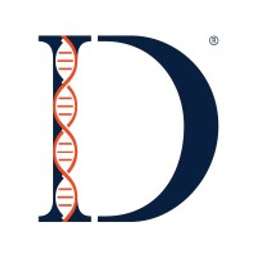 Development Insights