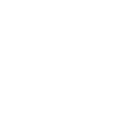 Urban Strategy Group