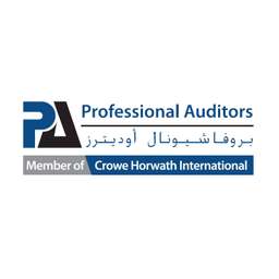 Professional Auditors - Crunchbase Company Profile & Funding