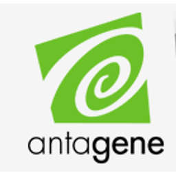 Antagene - Crunchbase Company Profile & Funding