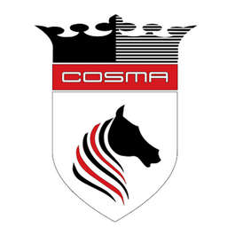 Cosma Technology - Crunchbase Company Profile & Funding