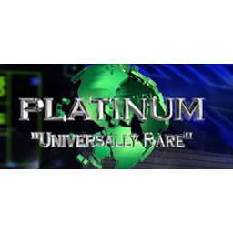 Platinum Systems Specialists
