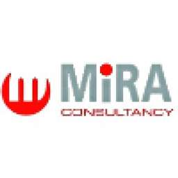 MIRA Consulting - Tech Details
