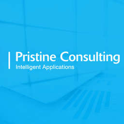 Pristine Consulting - Crunchbase Company Profile & Funding