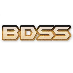 BDSS - Crunchbase Company Profile & Funding