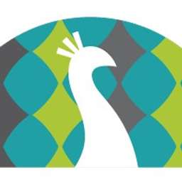 Altared Weddings & Events - Tech Details