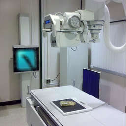 Medray - Crunchbase Company Profile & Funding