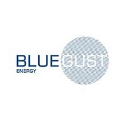 Blue Gust Energy - Crunchbase Company Profile & Funding