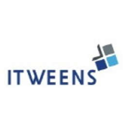 ITwins - Crunchbase Company Profile & Funding