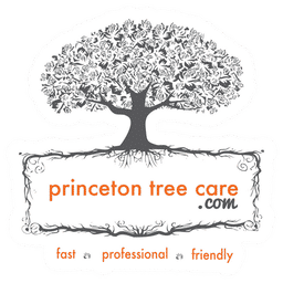 Princeton Tree Care
