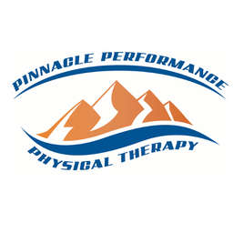 Pinnacle Performance Physical Therapy - Crunchbase Company Profile ...