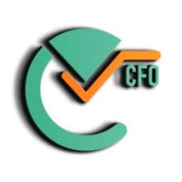 Crunch TimeZ Virtual CFO Services - Tech Details